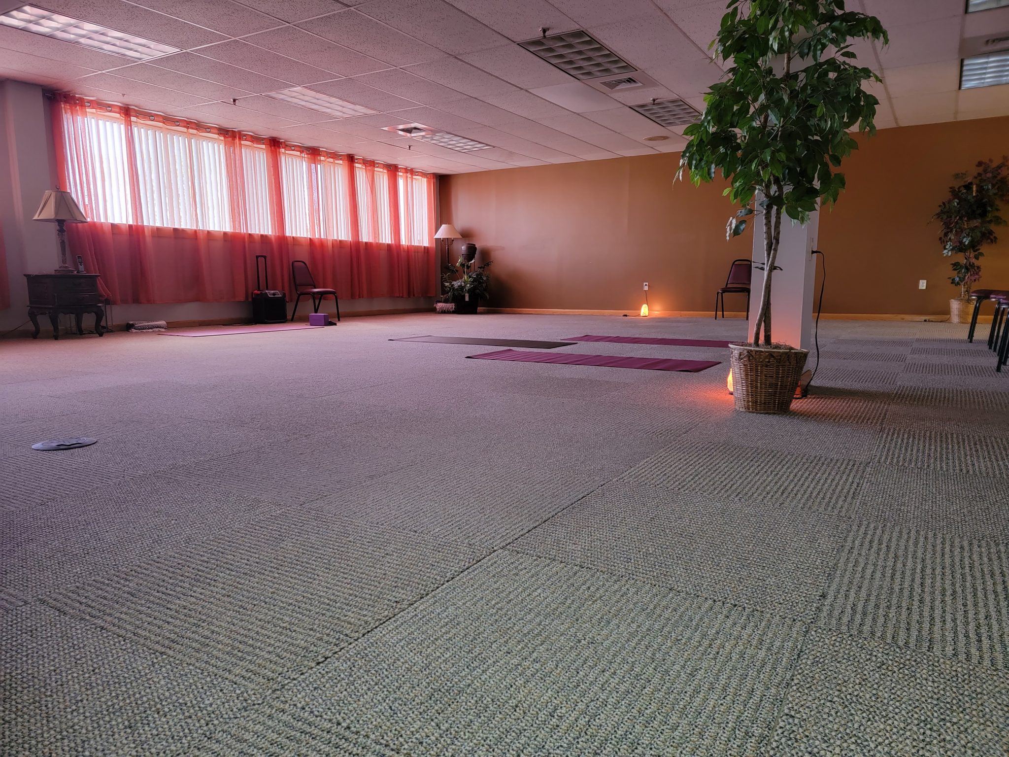 Our Professionals – Your Wellness Place